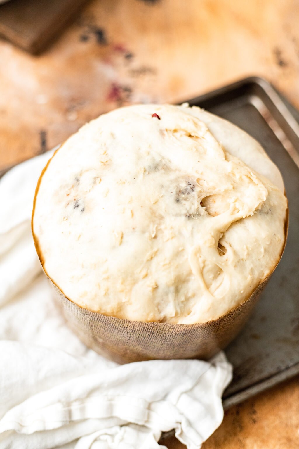 Amazing Vegan Panettone Recipe | The Banana Diaries