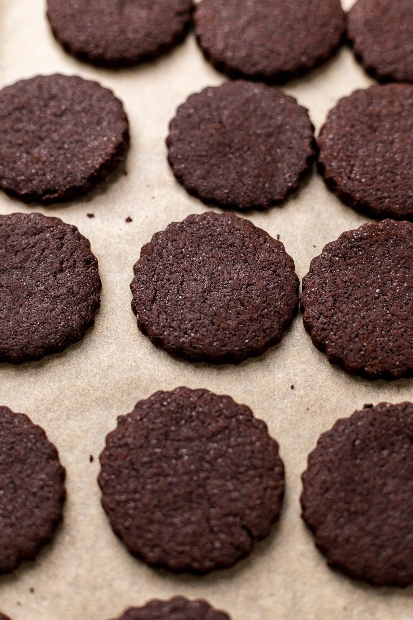 Quick & Easy Homemade Oreos (Vegan + Gluten Free!) | The Banana Diaries