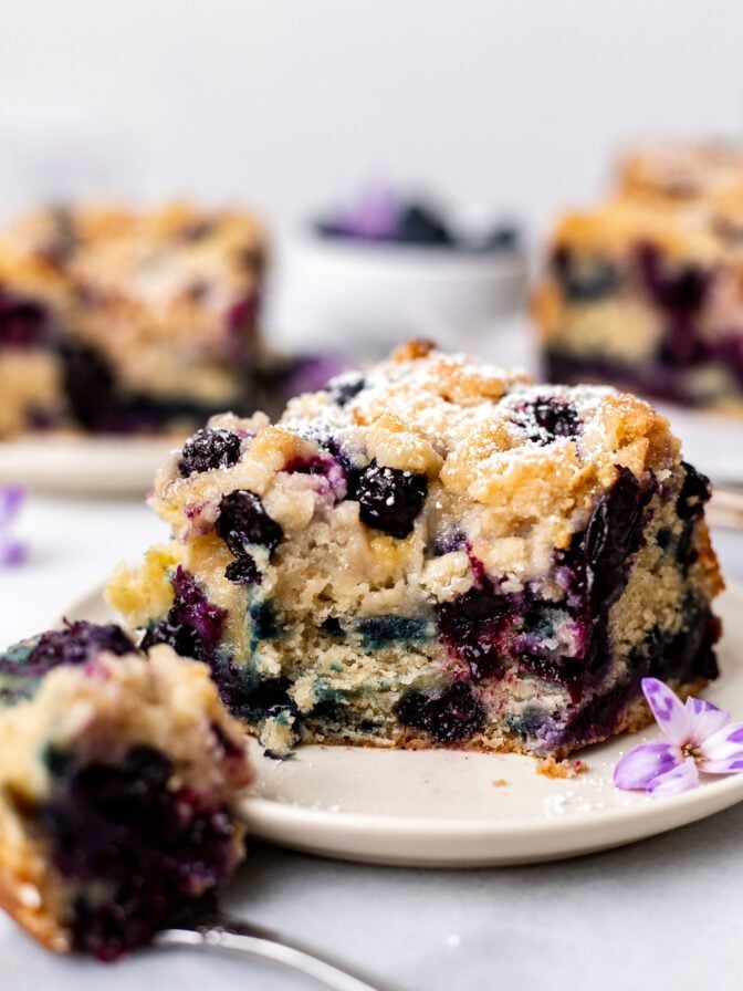 Vegan Recipes with Blueberry | The Banana Diaries
