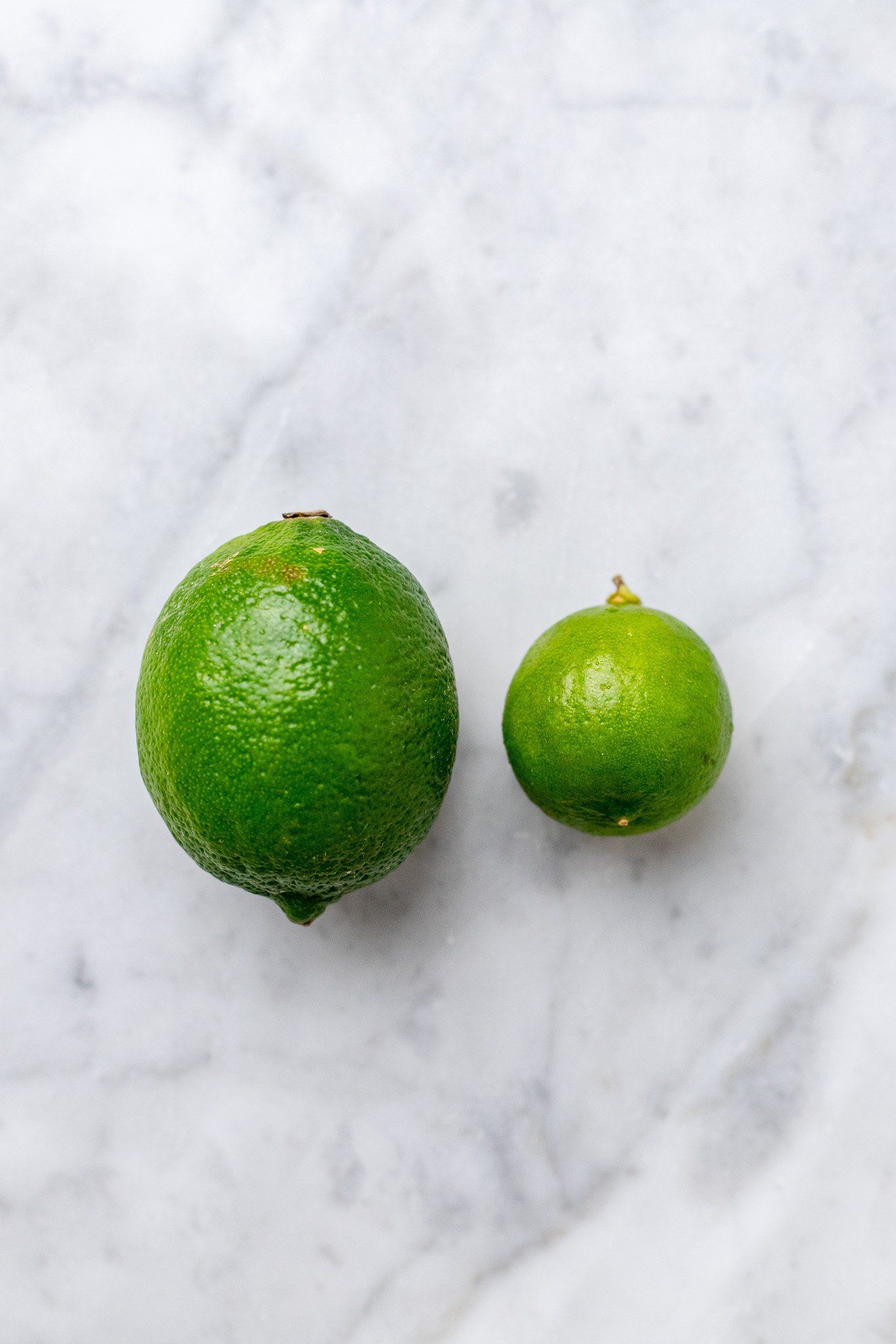 Creamy & Lush Easy Vegan Key Lime Cheesecake (No Eggs! No Dairy!) | The ...