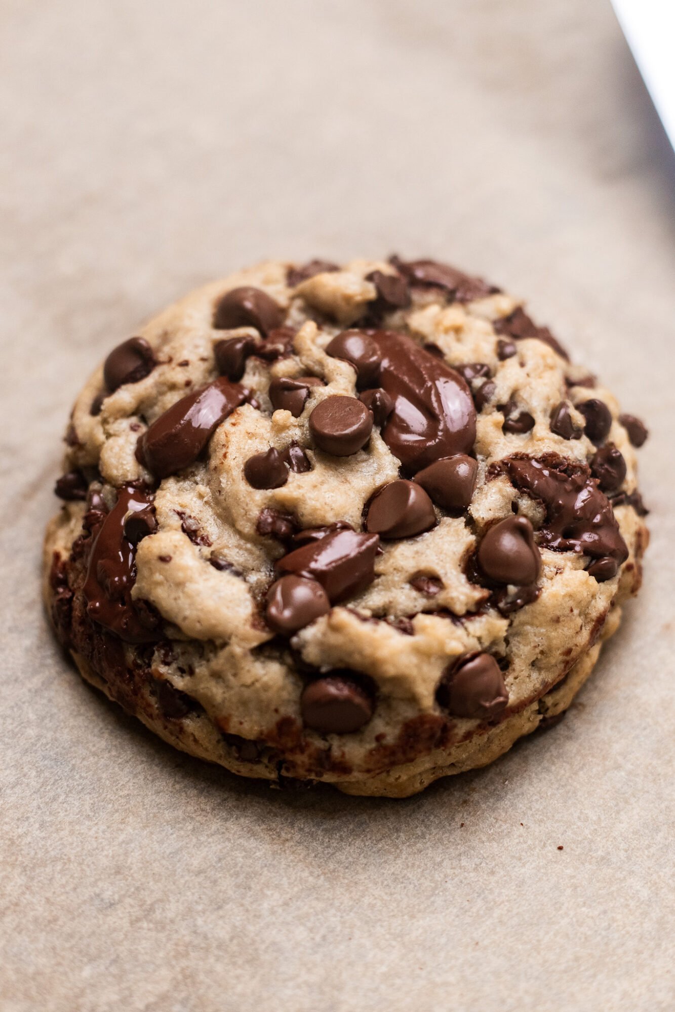 Single Serve Vegan Chocolate Chip Cookie Recipe - No Eggs, No Dairy! | The Banana Diaries